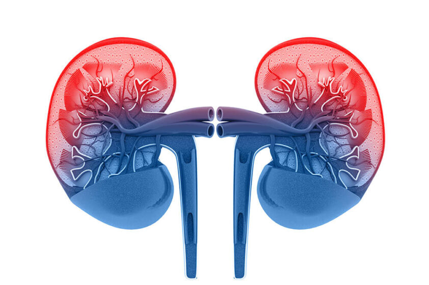 Διατροφή και νοσήματα νεφρού Αρχεία - Διαιτολογος Θεσσαλονικη